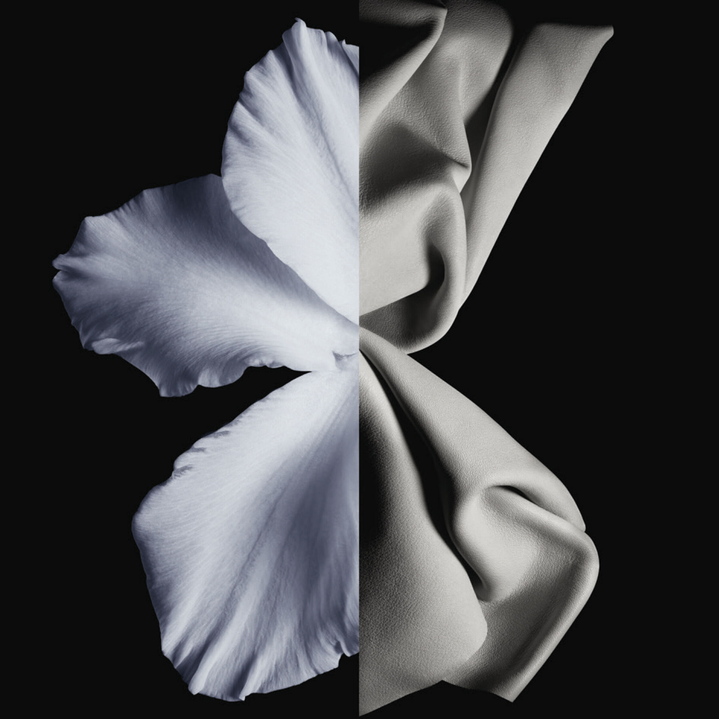 {IF Product.pageTitle THEN Product.pageTitle AND Site.displayName ELSE ...